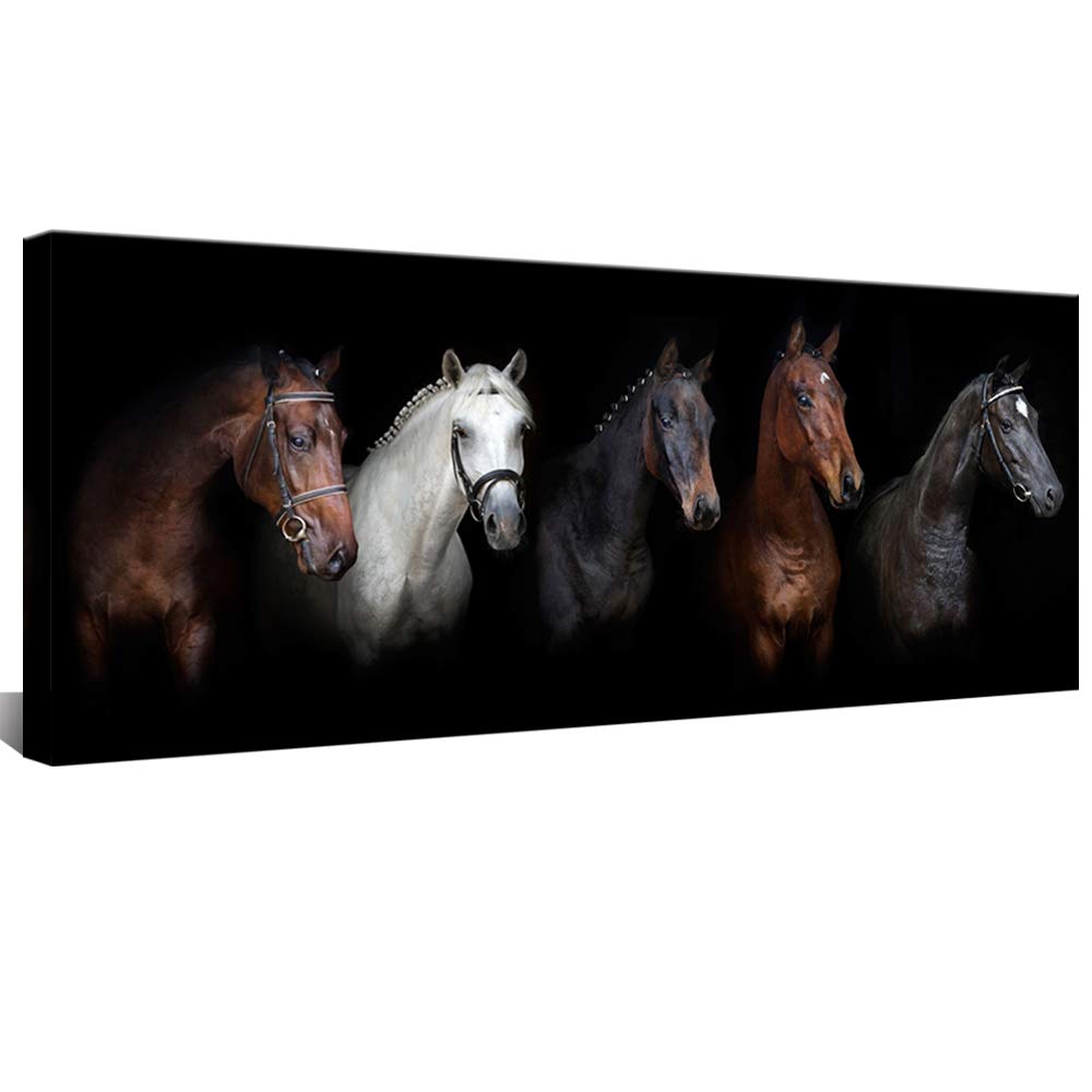 Large Animal Canvas Wall Art Black And White Horse Picture Prints Insp ...