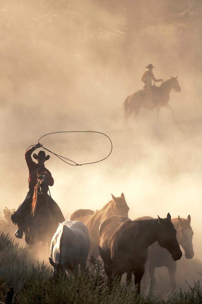 Laminated Cowboys On Horseback Wrangling Horses On Dusty Ranch Western ...