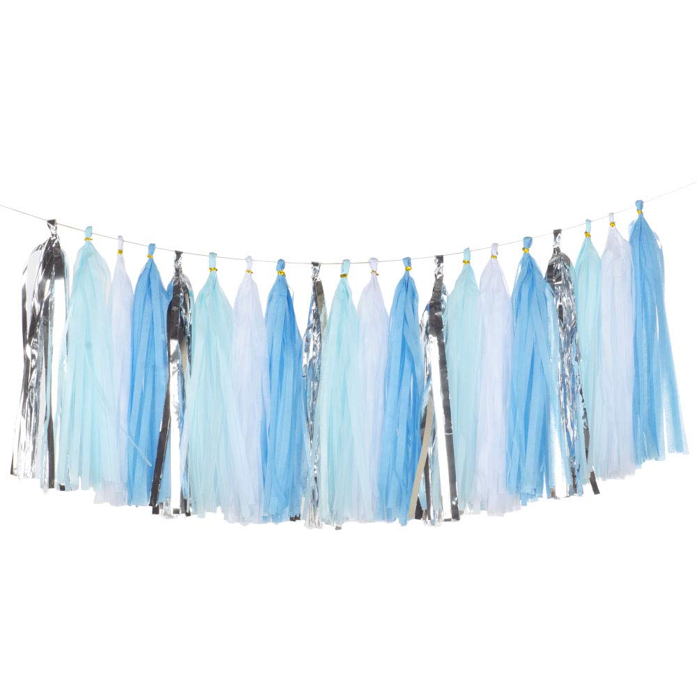 We Moment Tissue Paper Tassels Party Tassel Garland Banner for Wedding ...