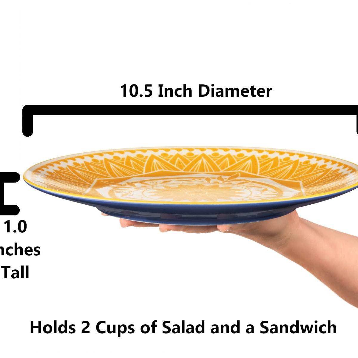 Annovero Dinner Plates, Large Colorful Cute Decorative Porcelain Dinne ...
