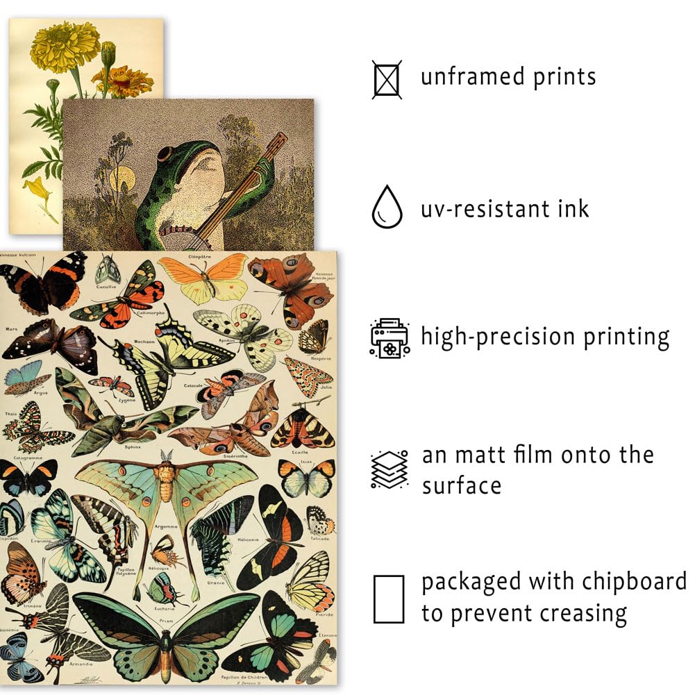 Anerza 16 Pcs Vintage Wall Art Decor, Cottagecore Wall Collage Kit For ...