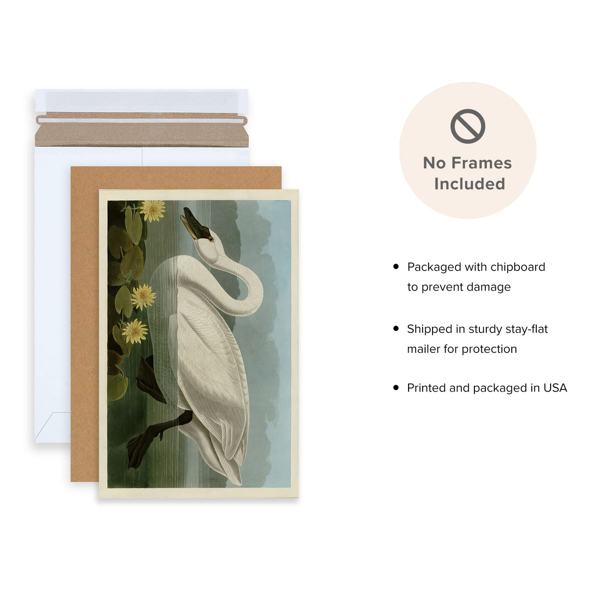 Ujoyful Vintage Snow White Swan Art Print | Set Of 2 Antique White Bir ...
