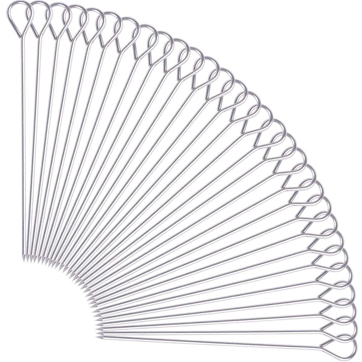 Honshen 30 Pcs 6 Inches Turkey Lacers For Trussing Turkey,Stainless St ...