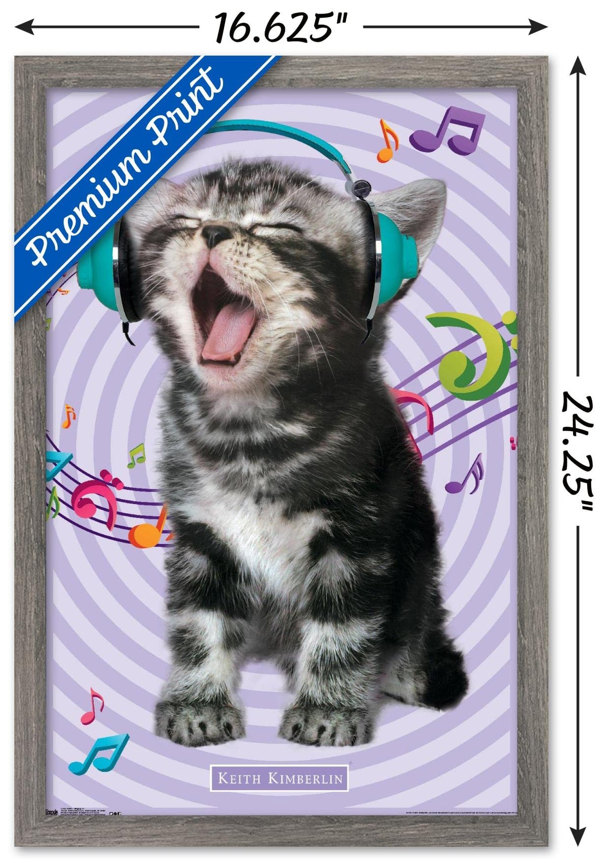 Trends International Keith Kimberlin - Kitten - Singing Wall Poster, 1 ...