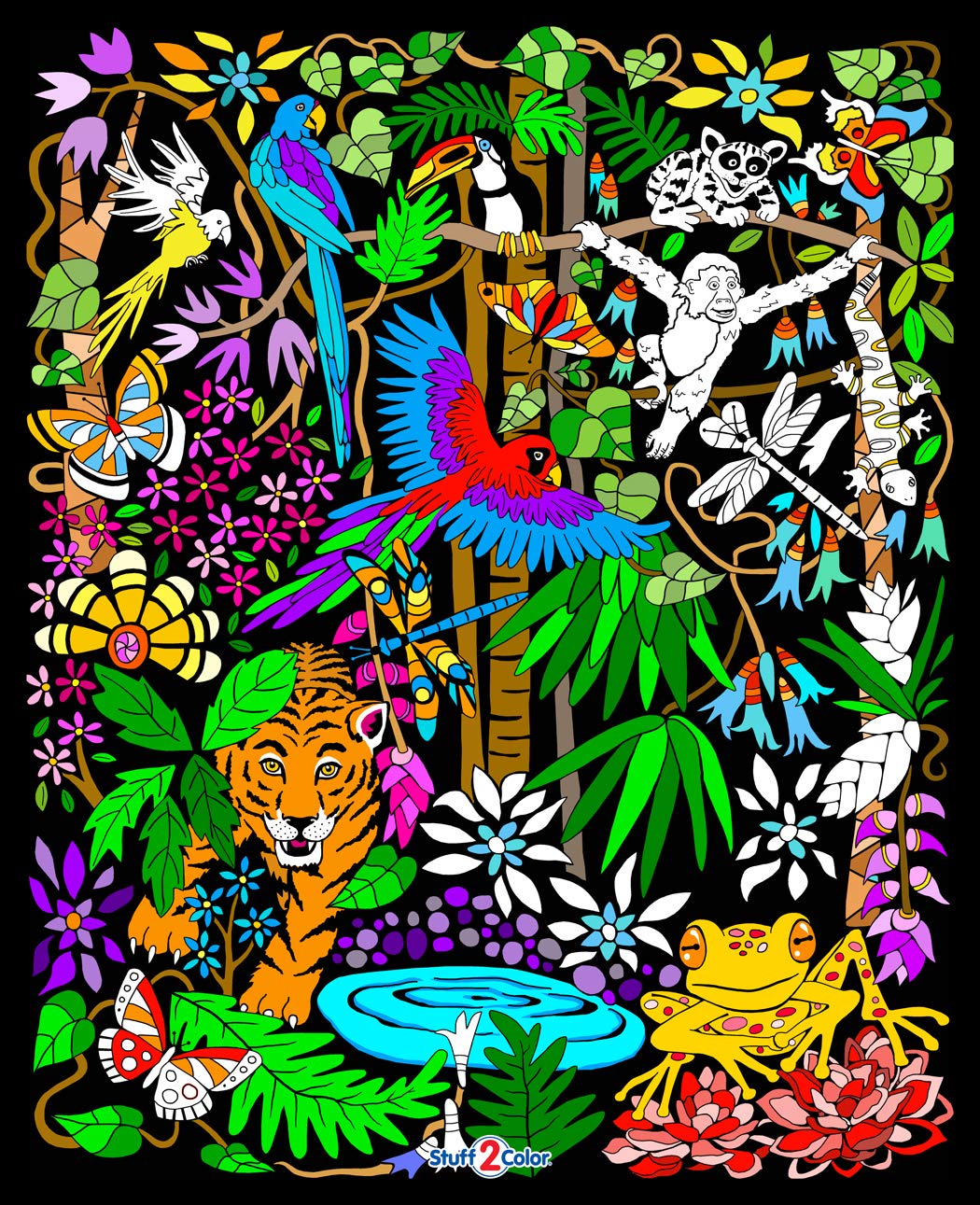 Stuff2Color Rainforest Velvet Coloring Poster - With Frogs, Monkeys, B ...