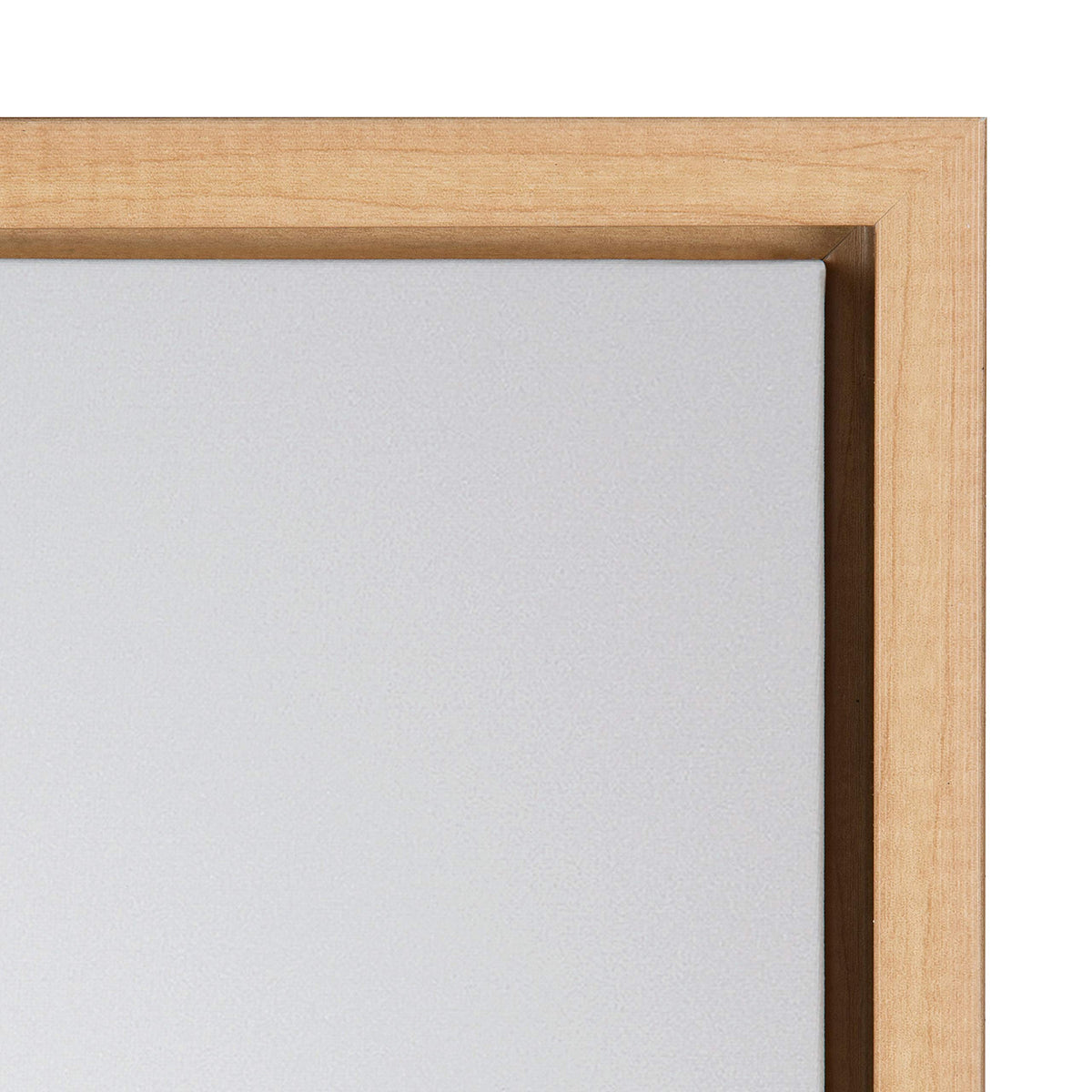 Kate And Laurel Sylvie Seagull Framed Canvas Wall Art By Simon Te Of T ...