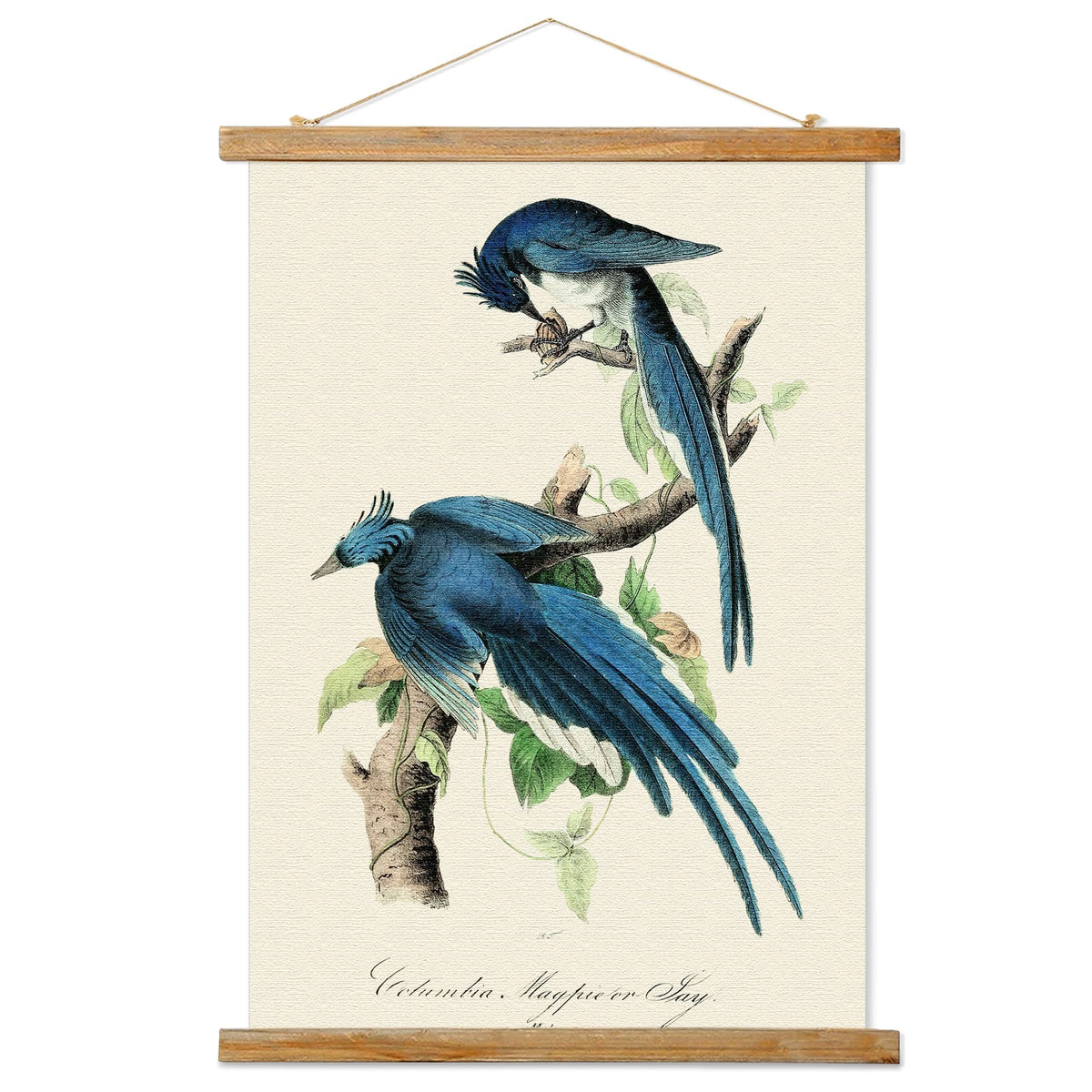 Vintage Birds Poster Hanger Frame, Retro Style Of Wall Art Prints, Pri ...