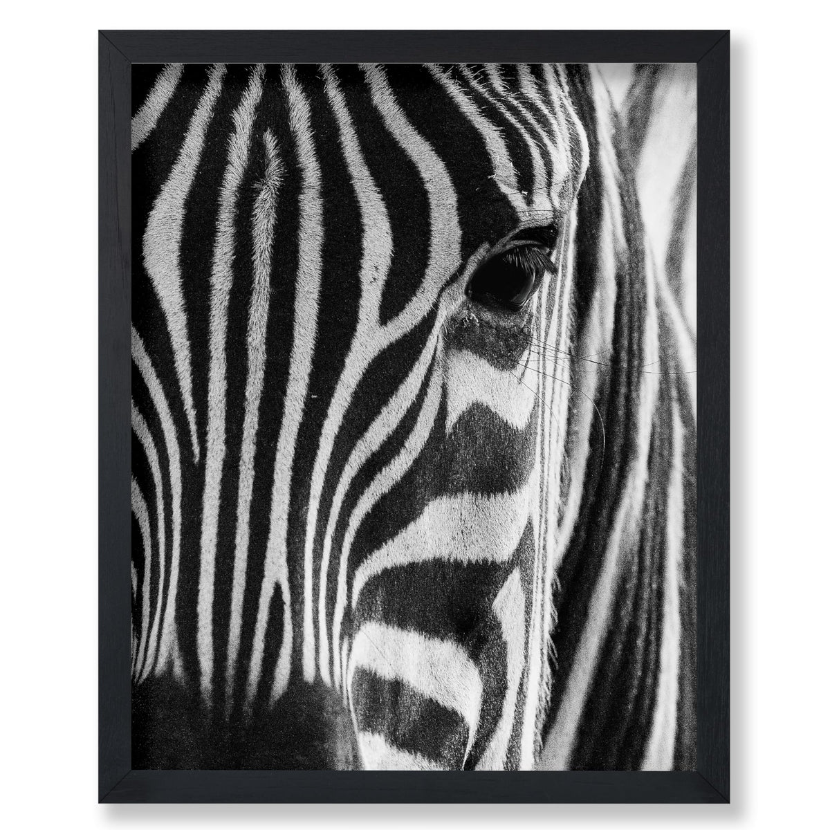 Poster Master Photograph Poster - Retro Animal Print - Striped Zebra ...